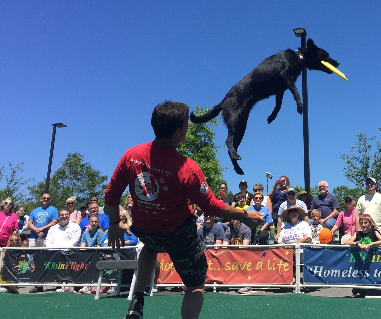 The Frisbee Dog Show For Any Event - K9s in Flight